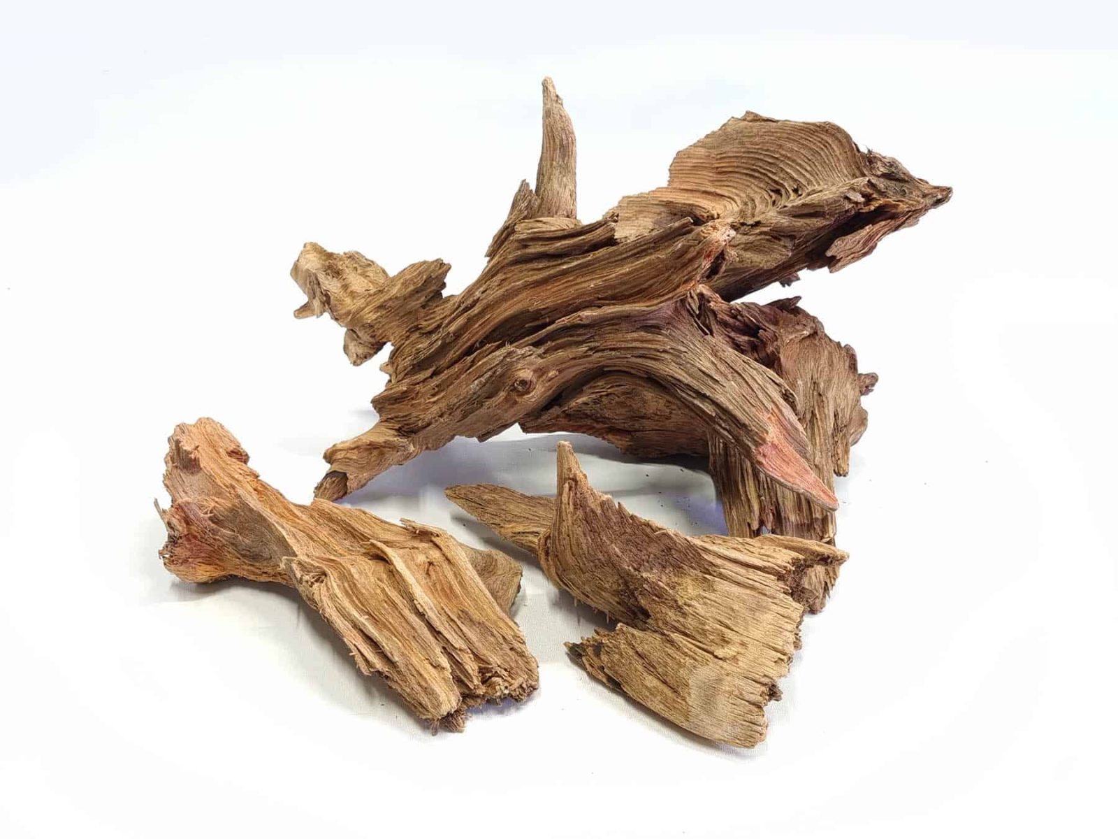 Aquascaping Wood. types, Shapes pros, and cones. - Aquascaping Ireland ...