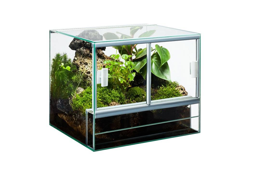 Glass Terrarium 40x30x30 - Aquascaping Ireland | Aquariums | Aquarium ...